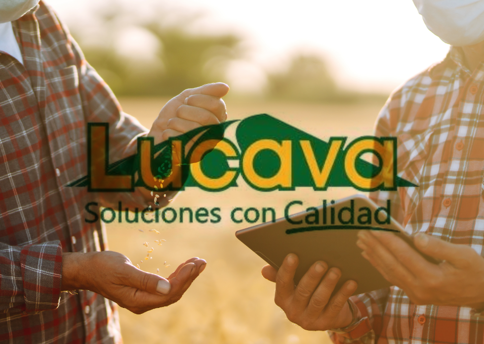 nosotros – Grupo Lucava